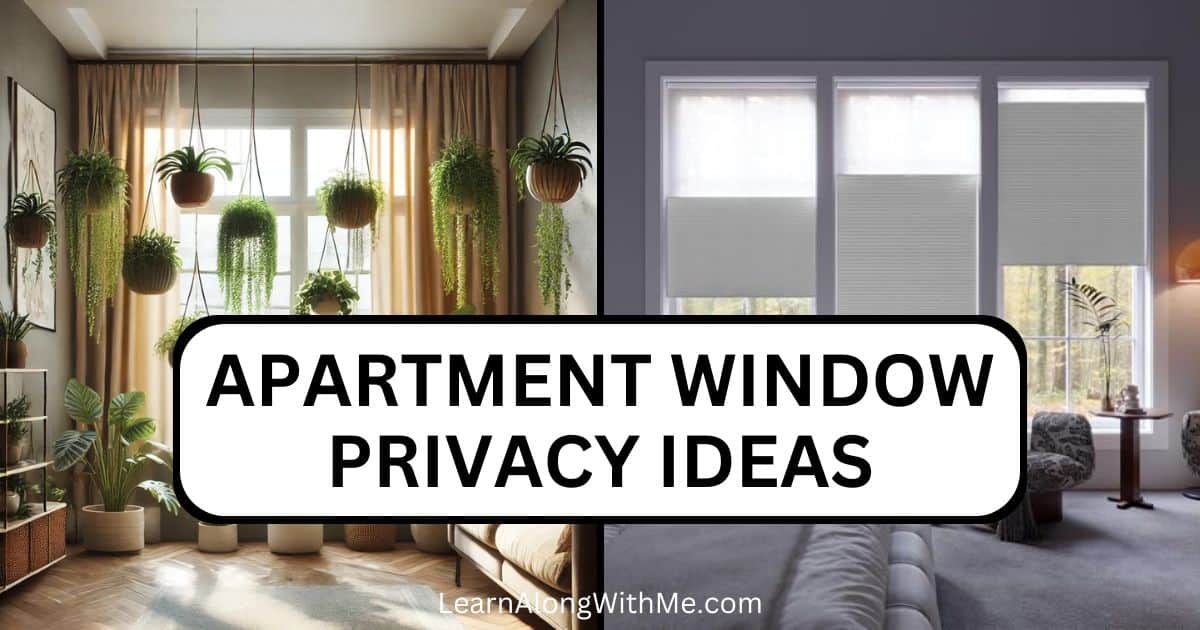 9 clever Apartment Window Privacy Ideas (perfect for ground floor ...